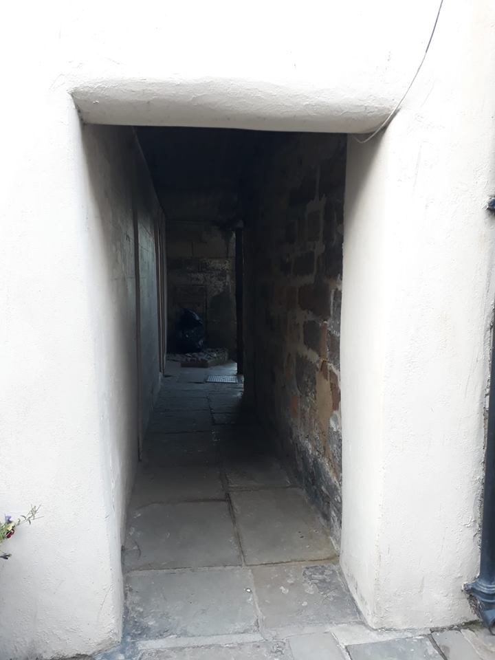 Photo Gallery: GinnelWatch – time to show us your ginnels!