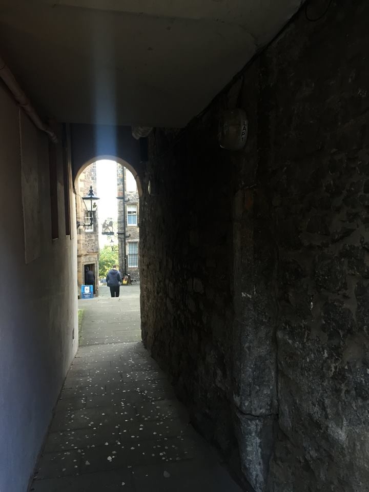 Photo Gallery: GinnelWatch – time to show us your ginnels!