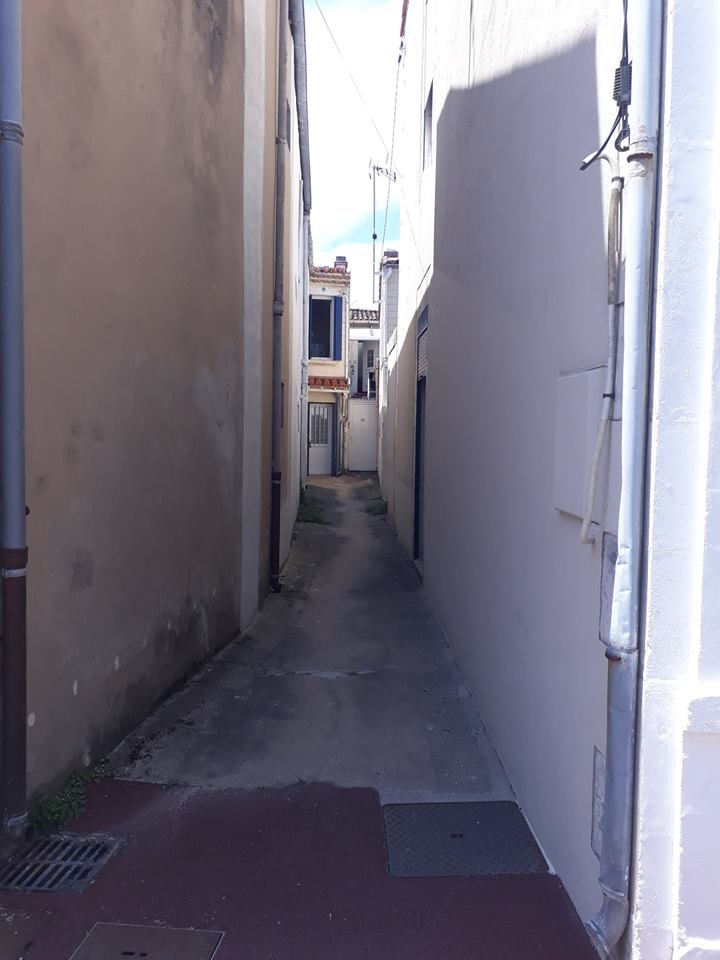 Photo Gallery: GinnelWatch – time to show us your ginnels!