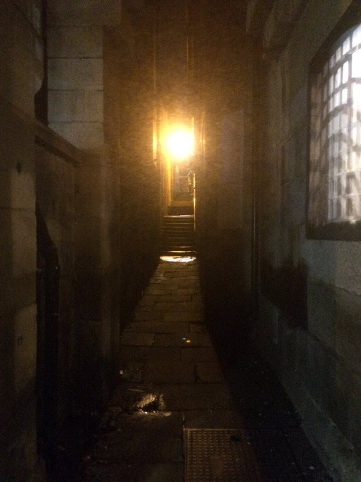 Photo Gallery: GinnelWatch – time to show us your ginnels!