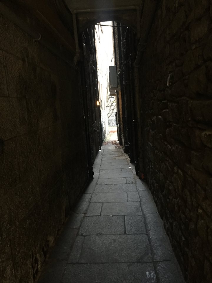 Photo Gallery: GinnelWatch – time to show us your ginnels!