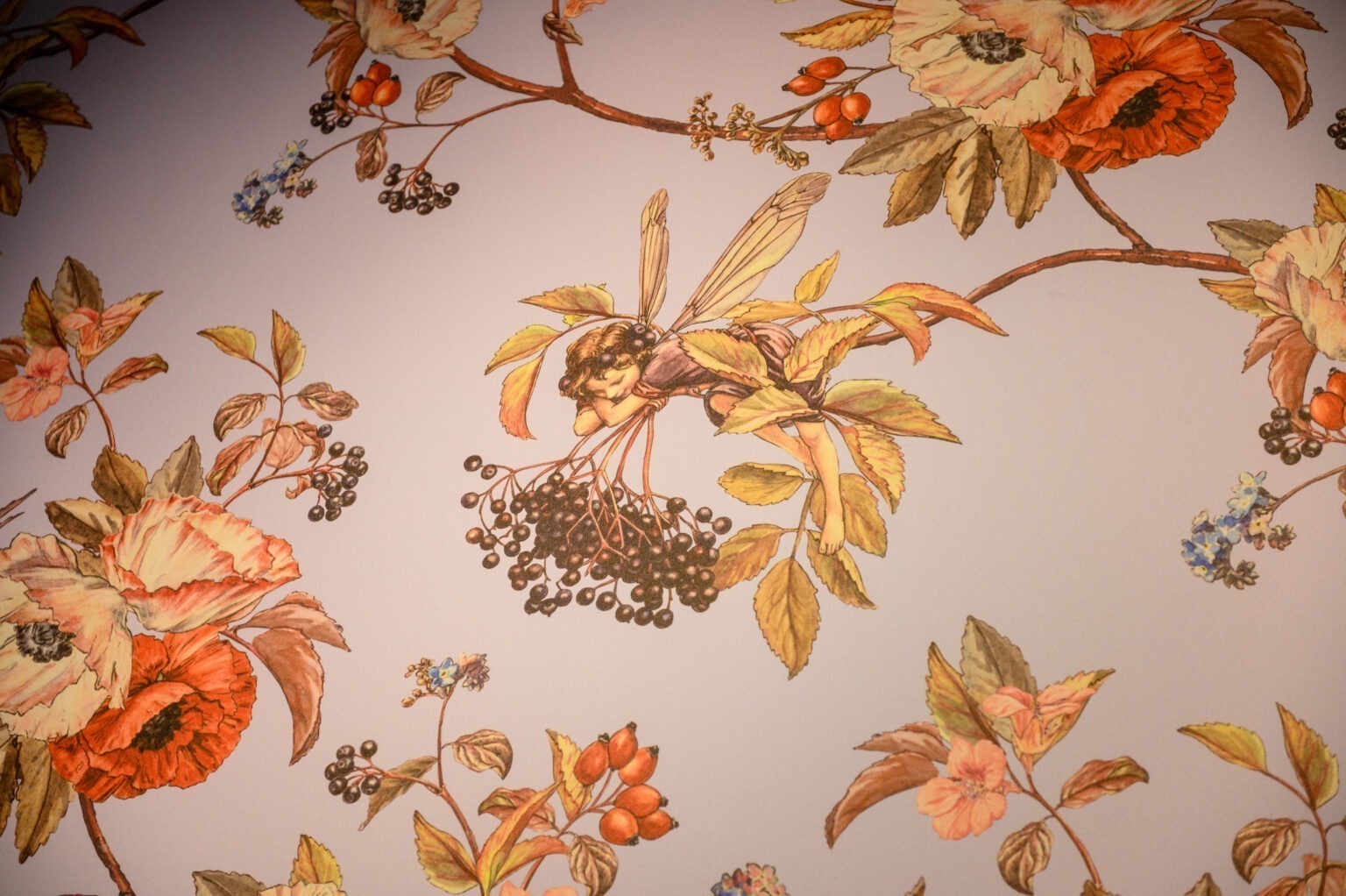 Celebrating 100 years of Cicely Mary Barker’s brilliance: Flower ...