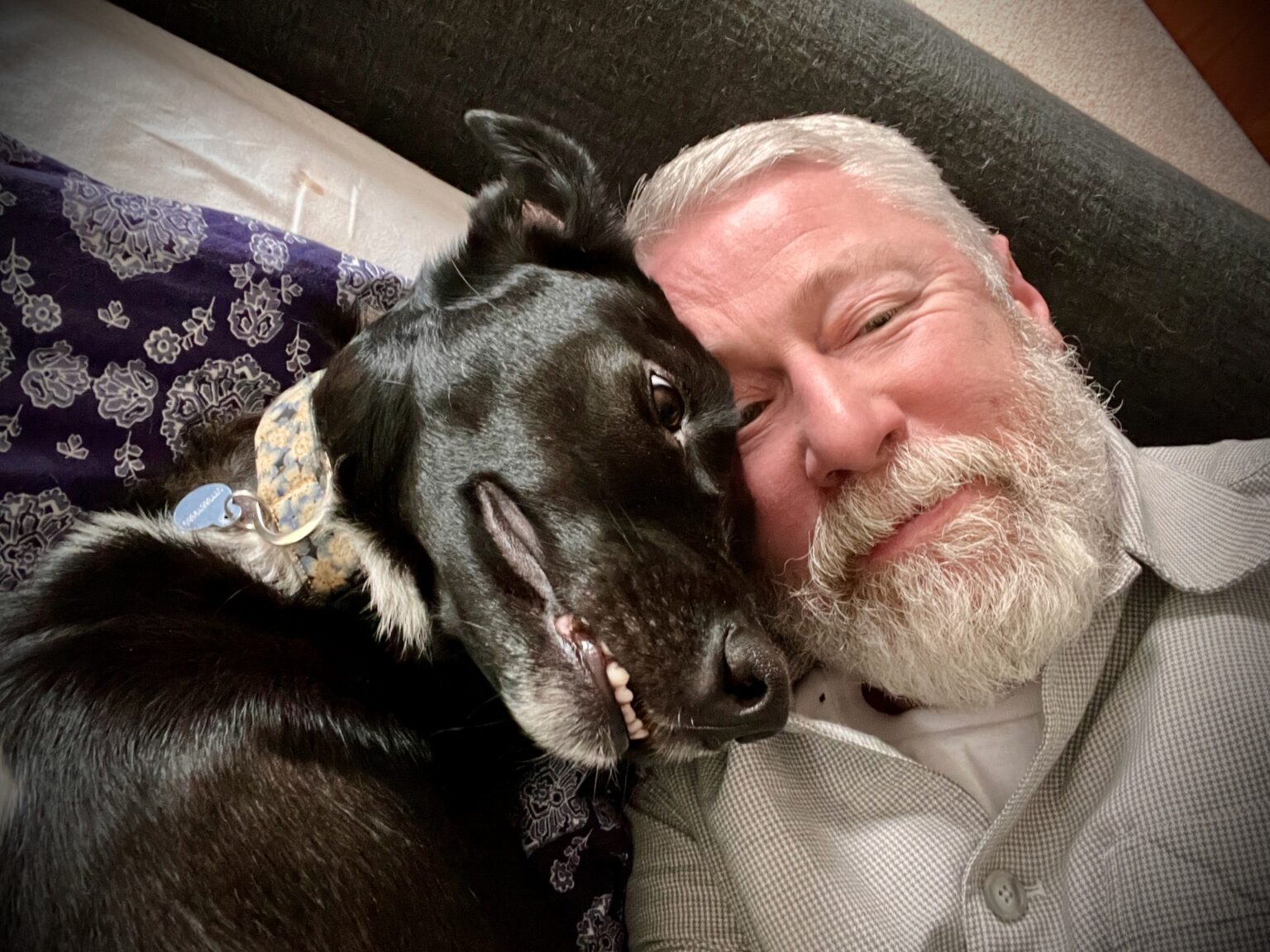 Street Hearts: An Extraordinary Story of Saving Street Dogs