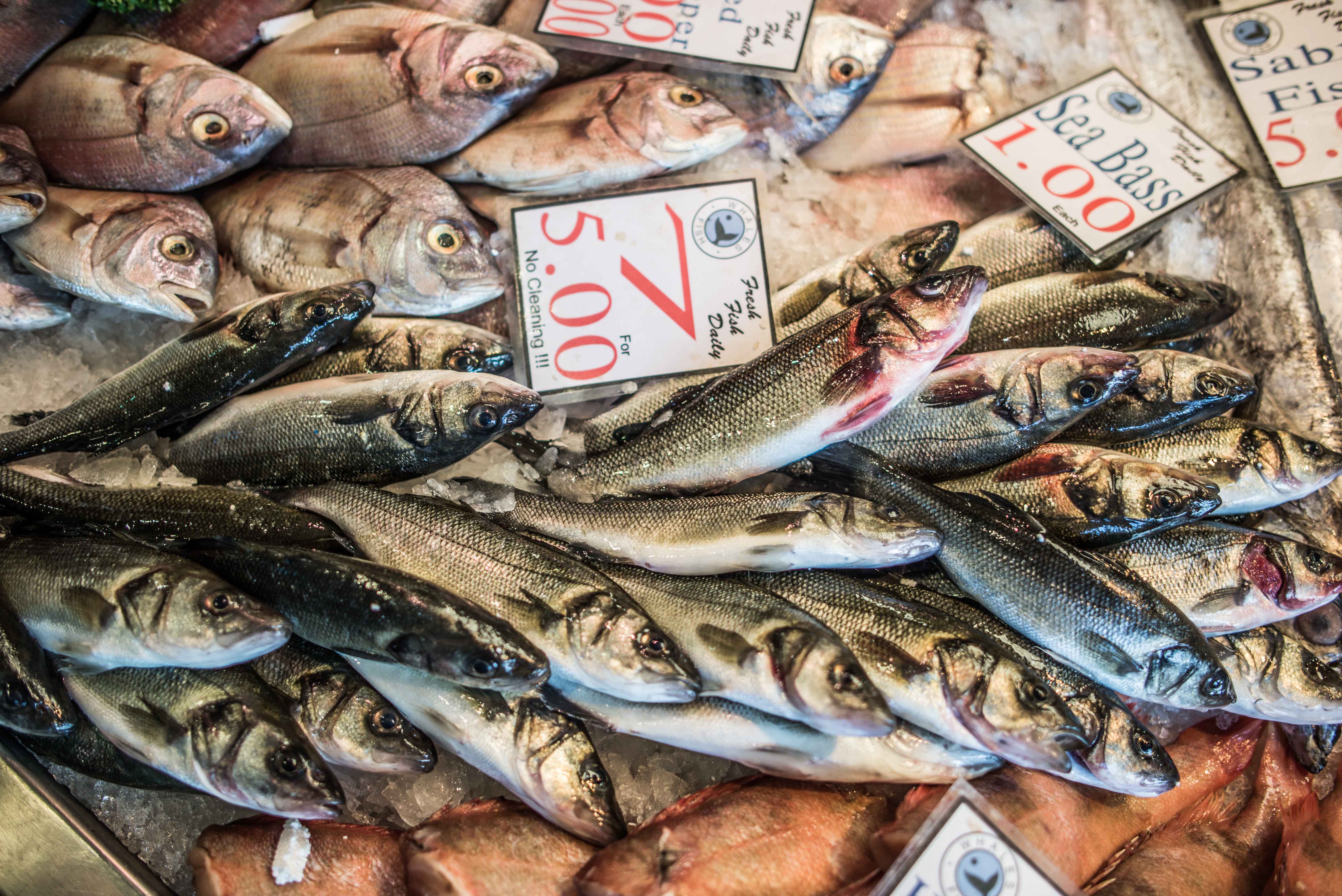 Photo Gallery: You shall have a fishy (on a little dishy) at Bury Market