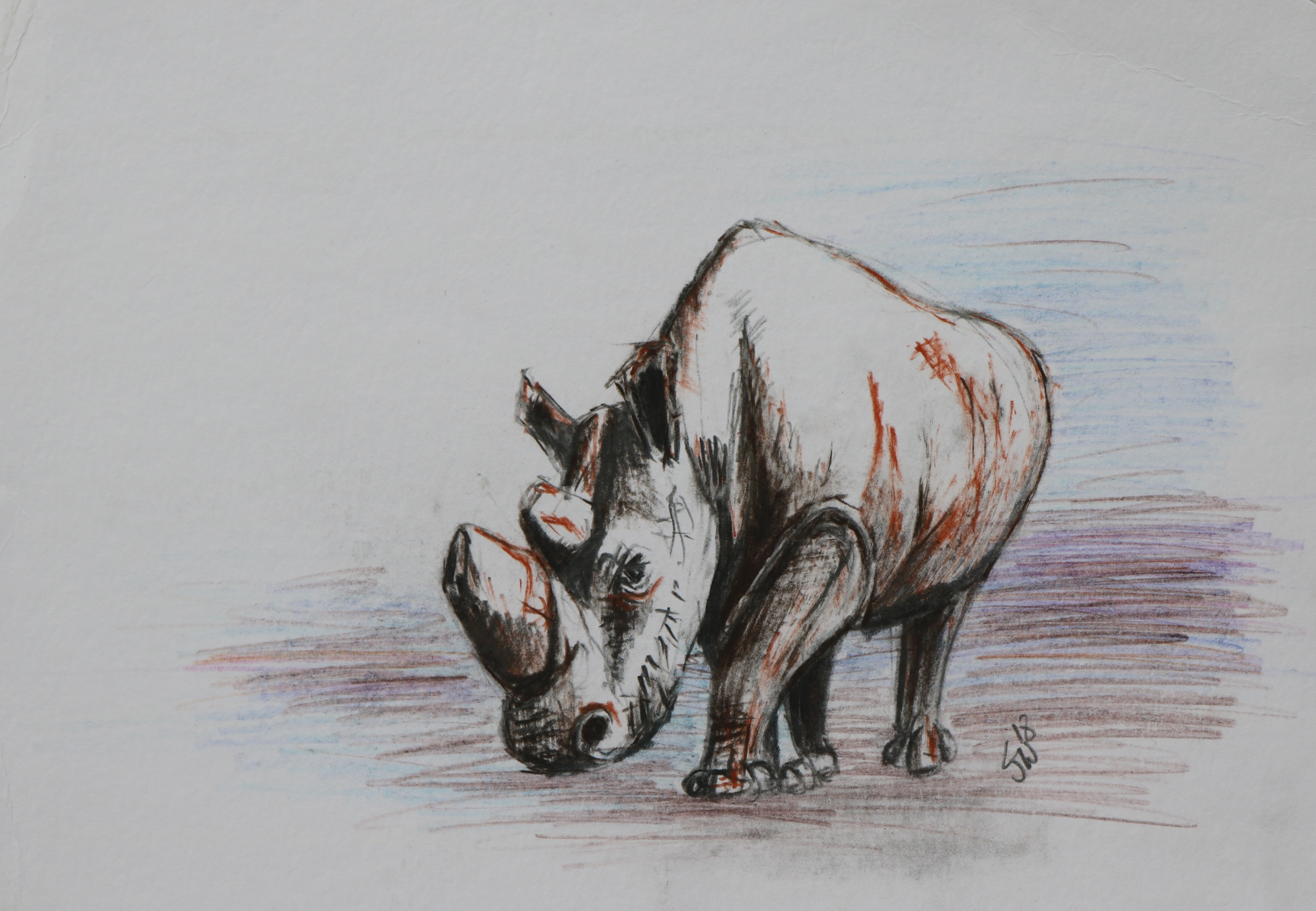 Photo Gallery: Sketch for Survival